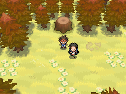 Turismo Pokémon: Rota 15, Marvelous Bridge, Rota 16 e Lostlorn Forest