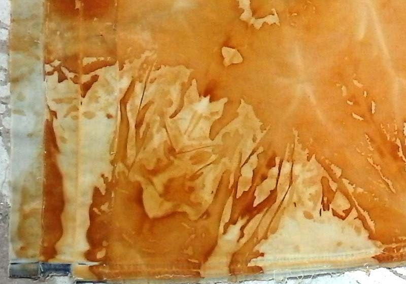 The Seared Blue Hair Comment