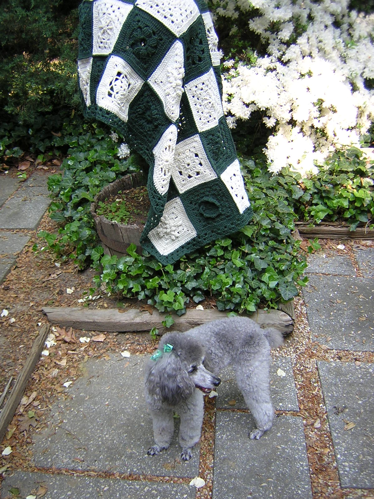 LINDA'S YARN CLOSET: Afghans Galore