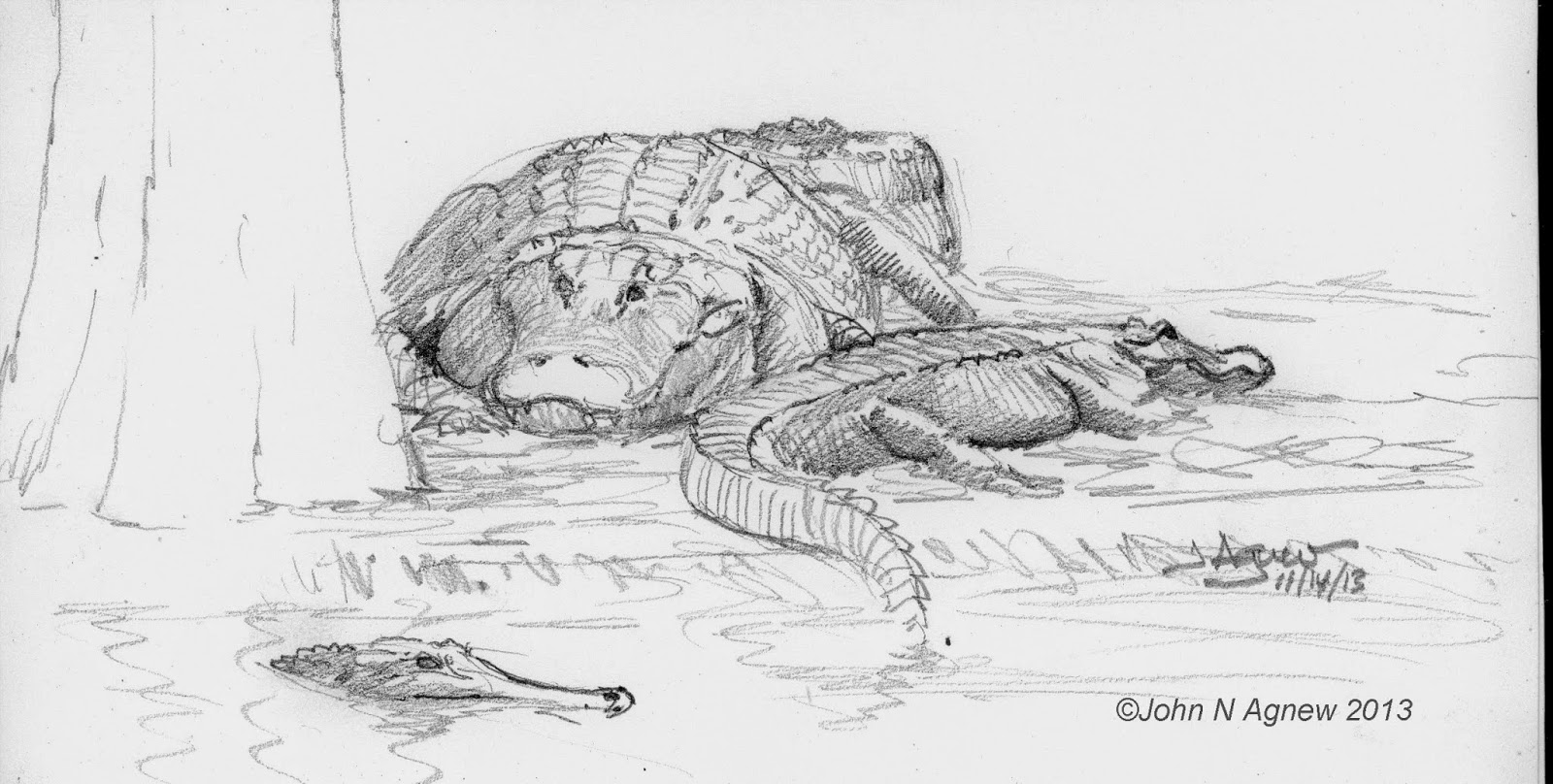 Society of Animal Artists