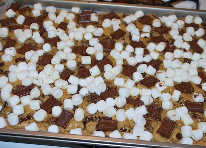 The Moody Fashionista: Graham Cracker S'mores Bars