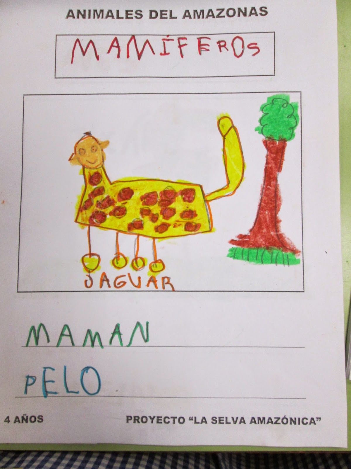 4 AÑOS - PROYECTO "EL AMAZONAS" ~ Los Peques del Rincón