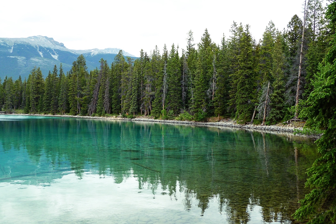 a bit of this & a bit of that: [beautiful Jasper, Alberta]