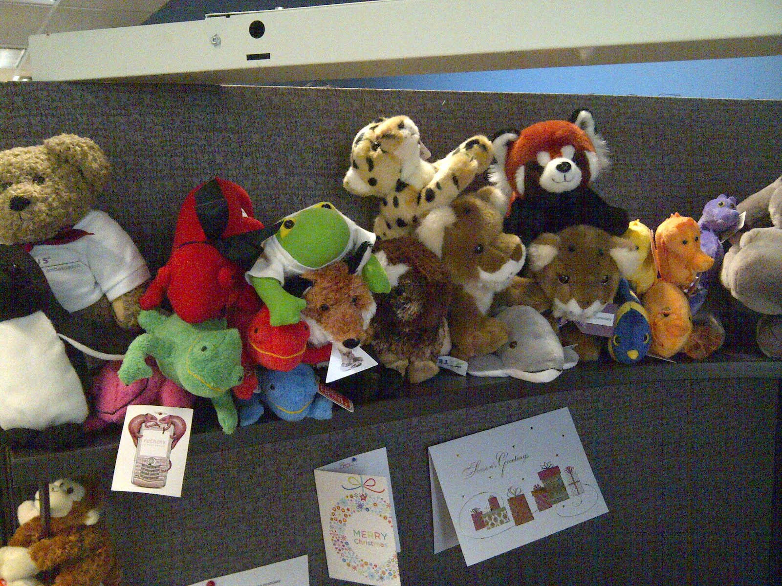 TELUS CRITTER BLOG: MY NEW RED PANDA CRITTER. Also, pictures of my ...