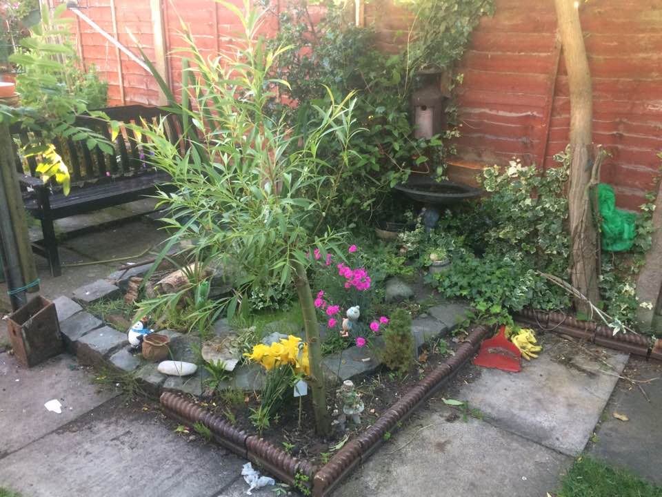 Diaries of a Wildlife and Outdoors lover: Bees under the pond