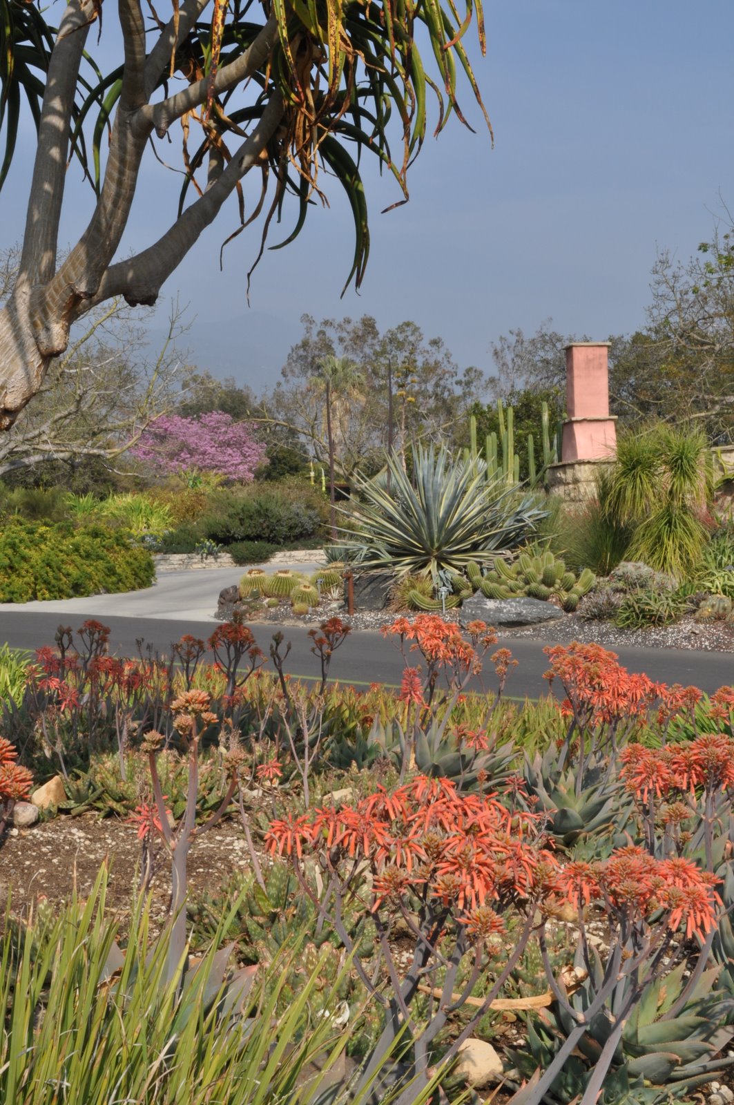 L.A. County Arboretum & Botanic Garden Plant Info: How To Get Great ...