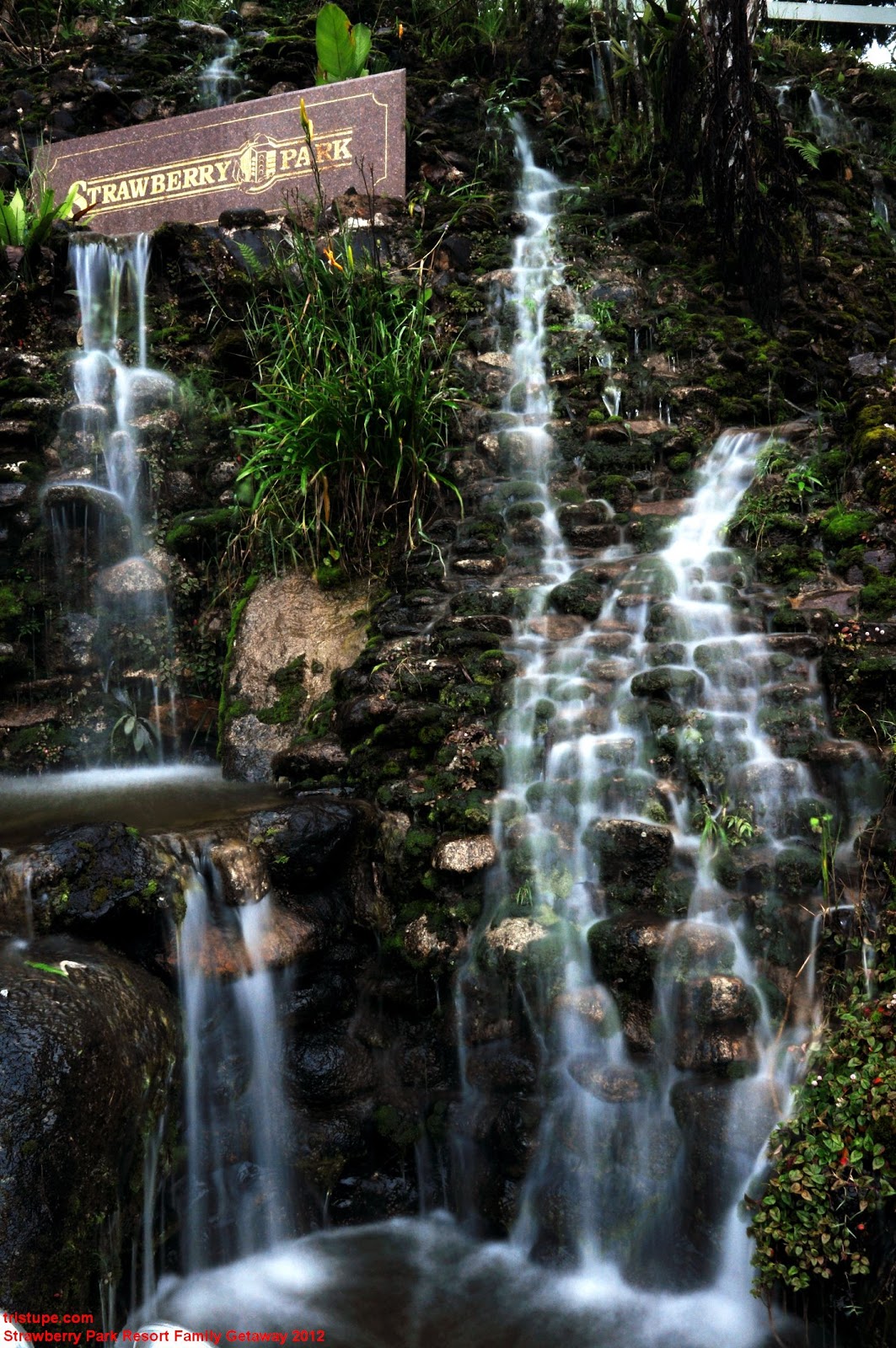 The Strawberry Park Family Getaway Day 3 ~ TRISTUPE.COM