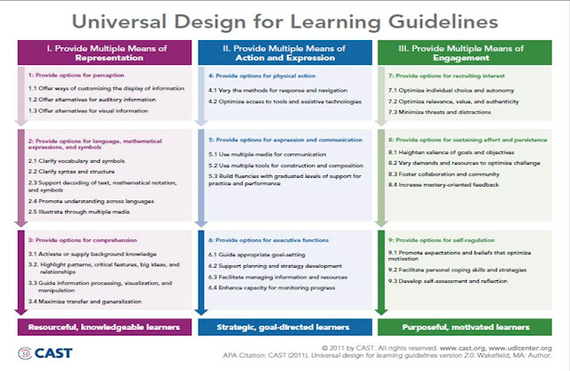 Teaching Strategies: Universal Design for Learning Guidelines