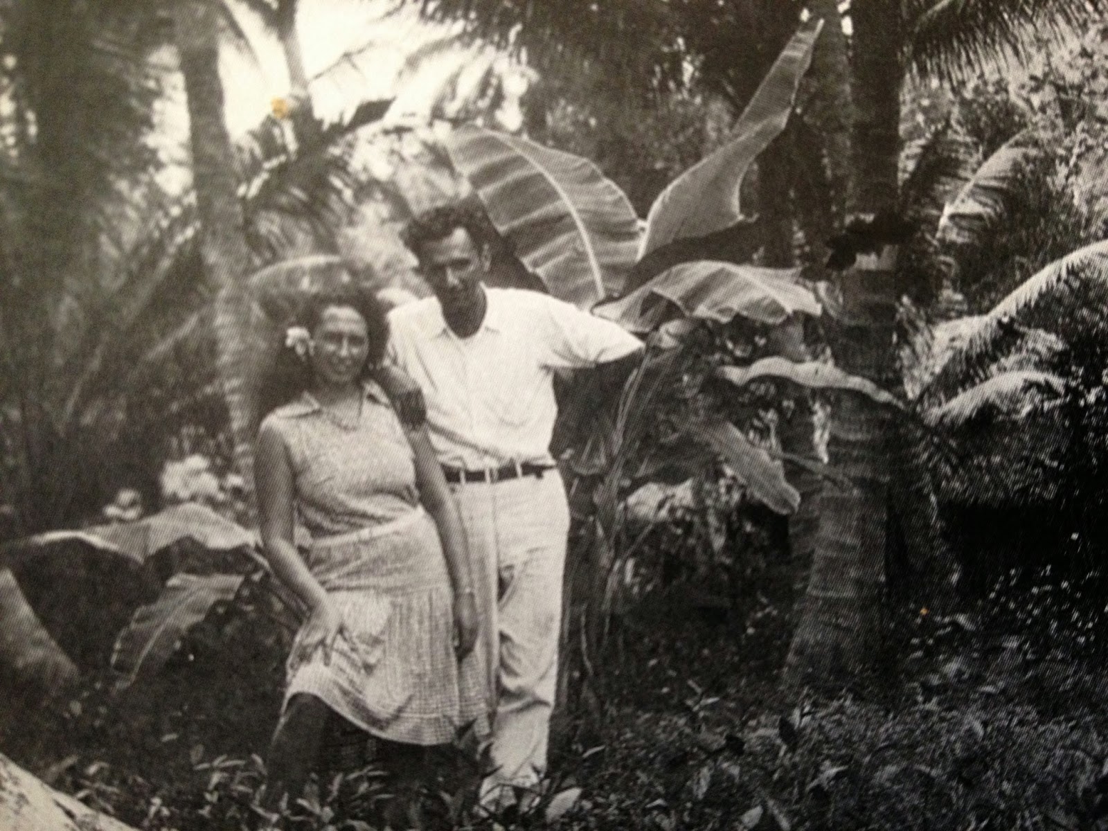 Eugene Ray Architect: MATISSE IN TAHITI / biotronic radiance in french ...