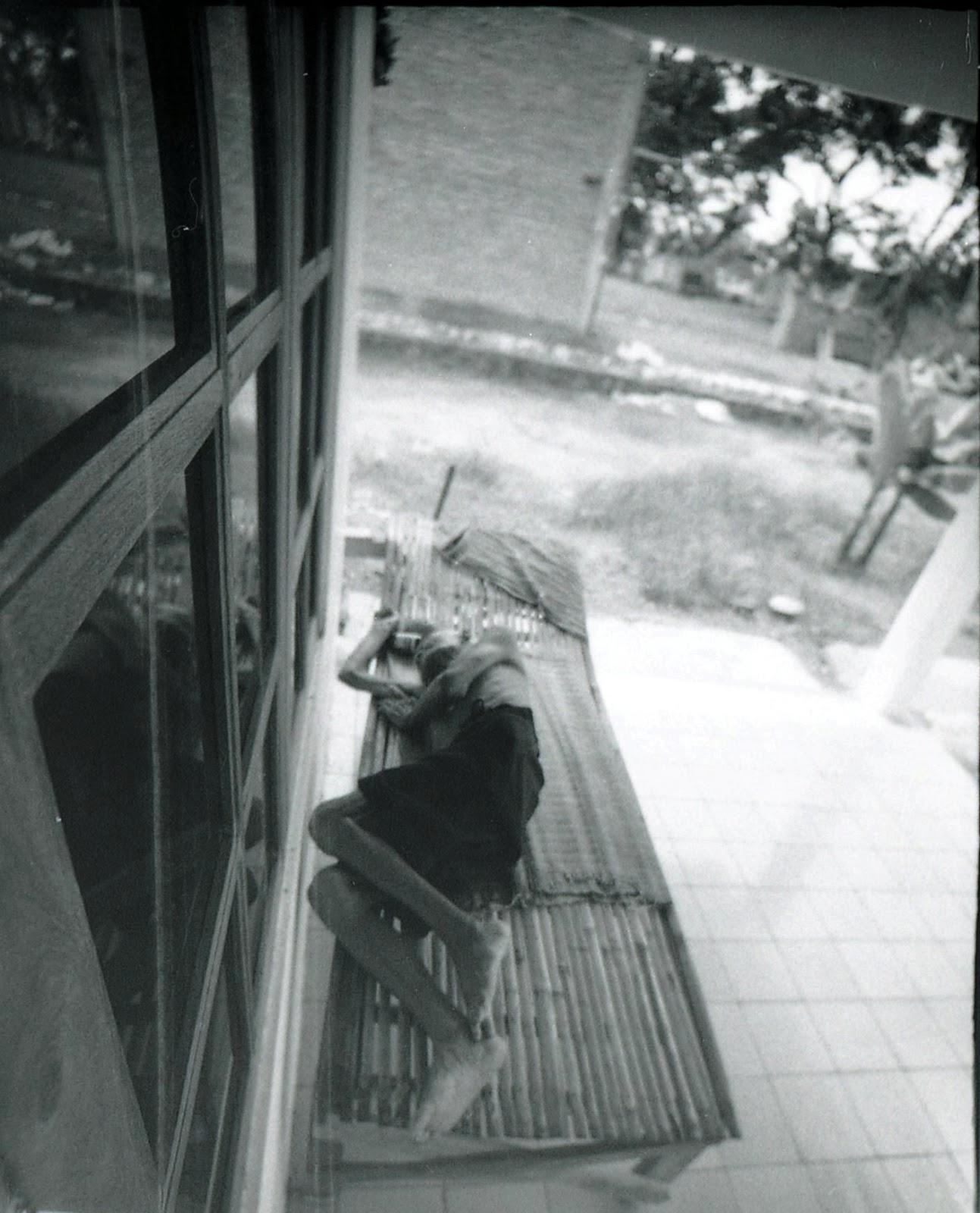 16+ Hewan Laut Mimi Lan Mintuno, Yang Lagi Trend!