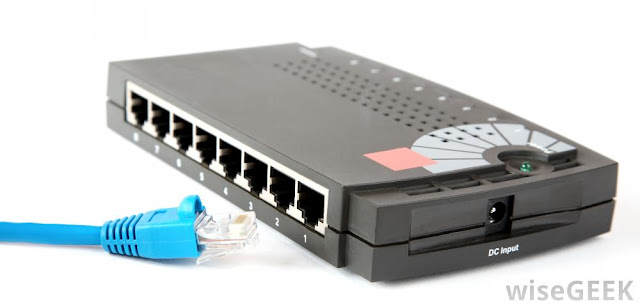 Bridge River Picture: Bridge Network