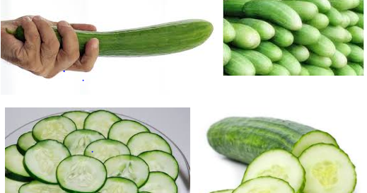 Manfaat Timun dan Efek Sampingnya Bagi Kesehatan - Dunia Healthy