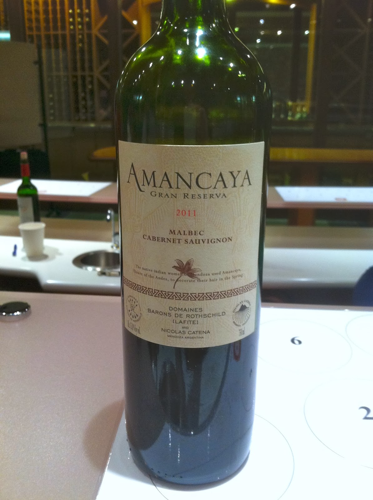 The World of Wine Review: Unit 3 – Day 4: South American Wines