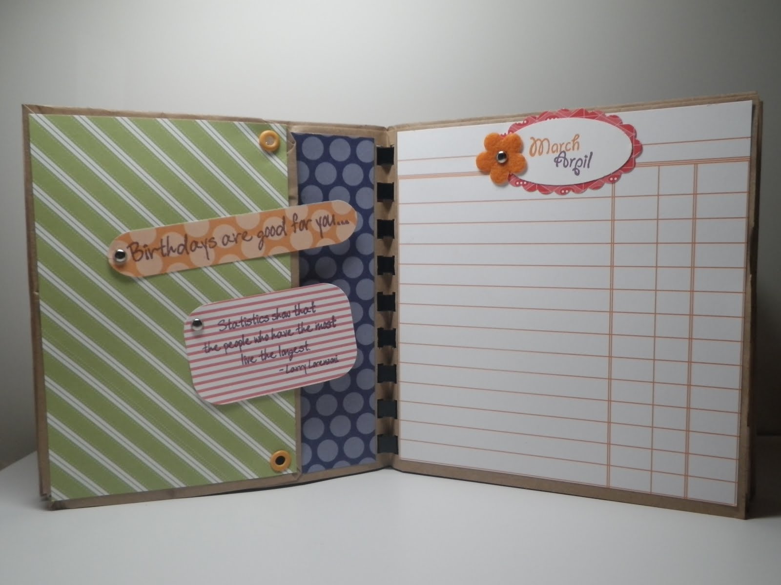 T's Candybug Gifts: Birthday Record Book