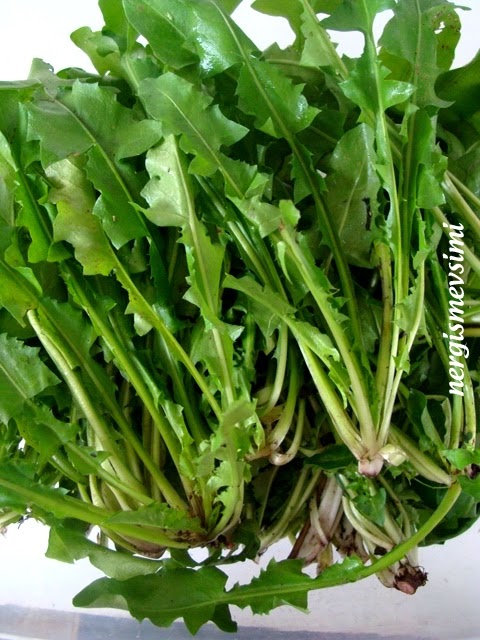 Yaşam Oyuncusu İnsan: RADİKA