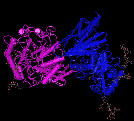 Fabry Disease and the GLA Gene
