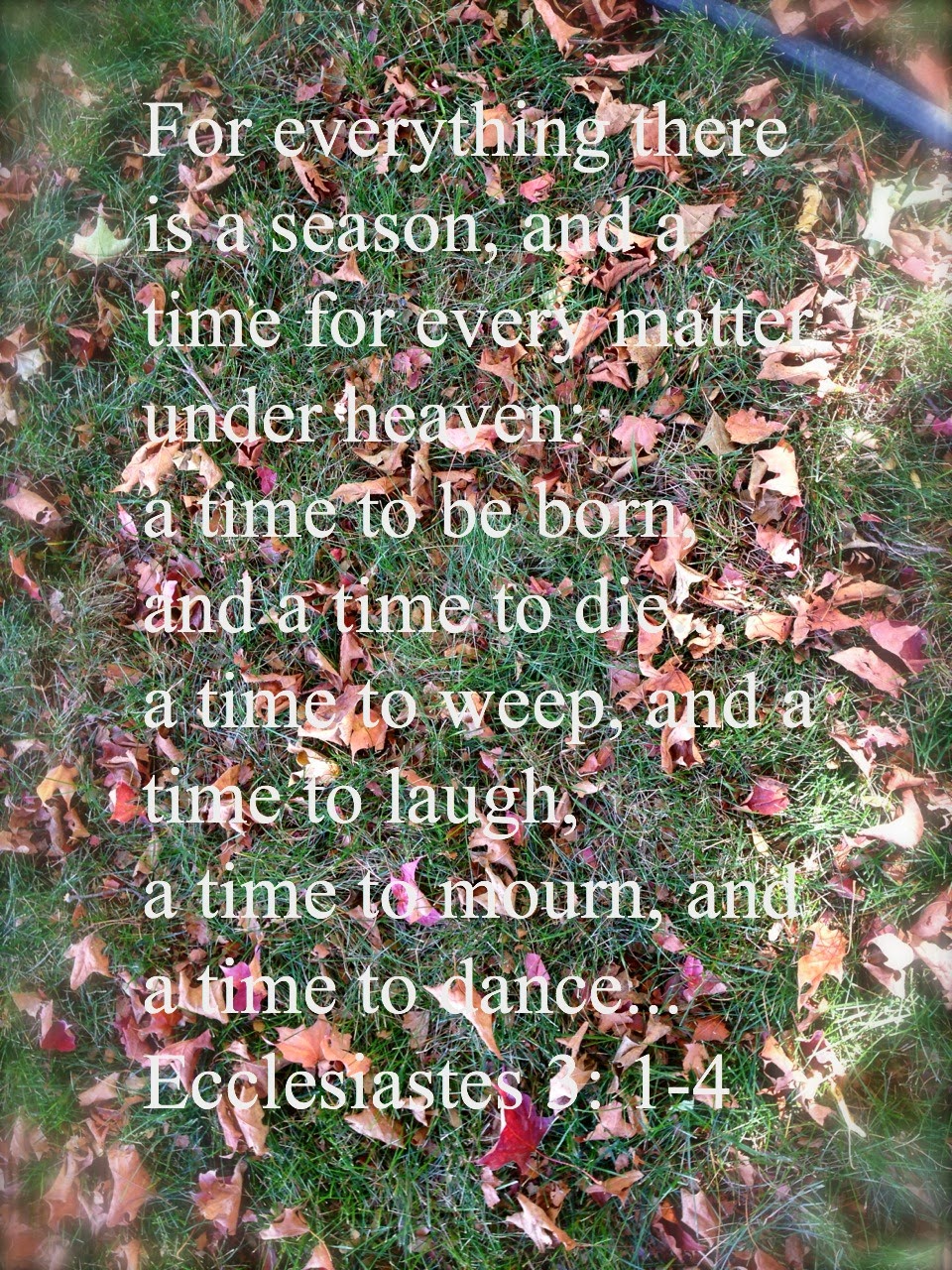 His UnEnding Love: Ecclesiastes 3: 1-4