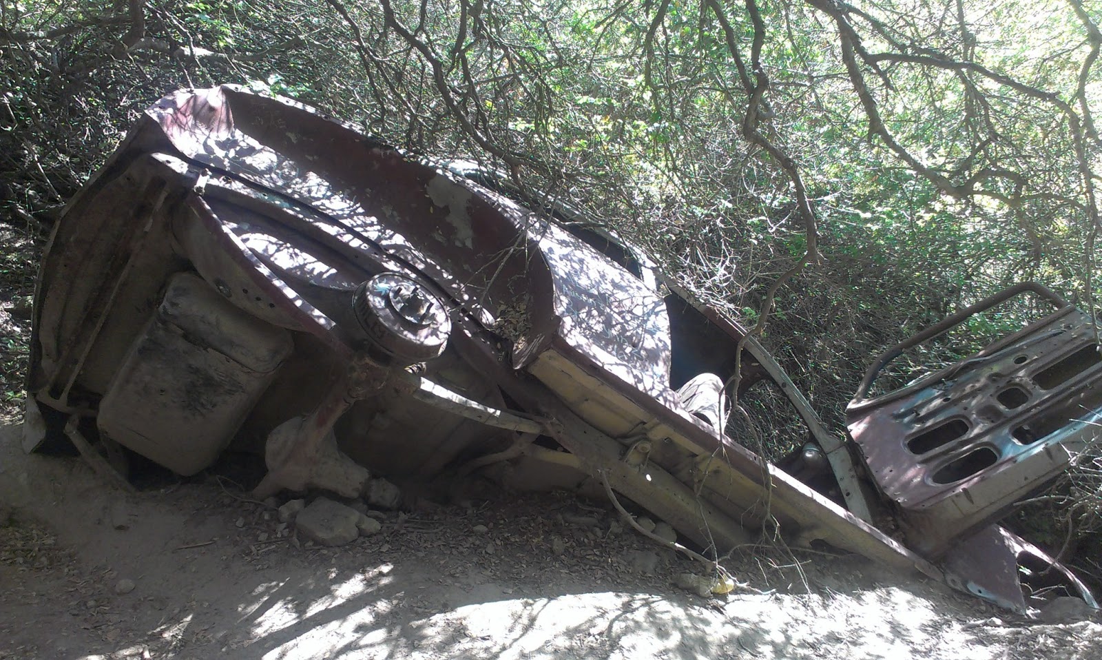 Iron Hiker: Aliso-Wood Canyon to the Top of the World