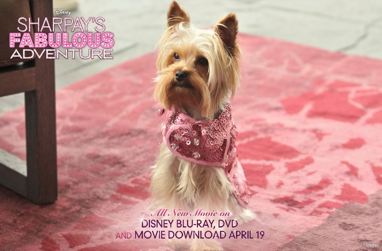 disney-Pretty: Descargas de Sharpay Fabulous Adventure