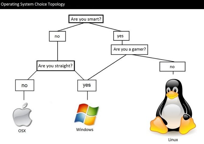 MacFags: Operating System Choice Topology