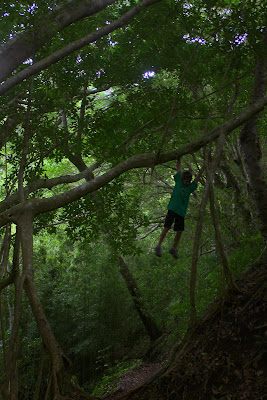 Kevin & Spring: March 2011