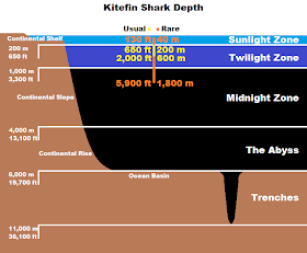 Real Monstrosities: Kitefin Shark