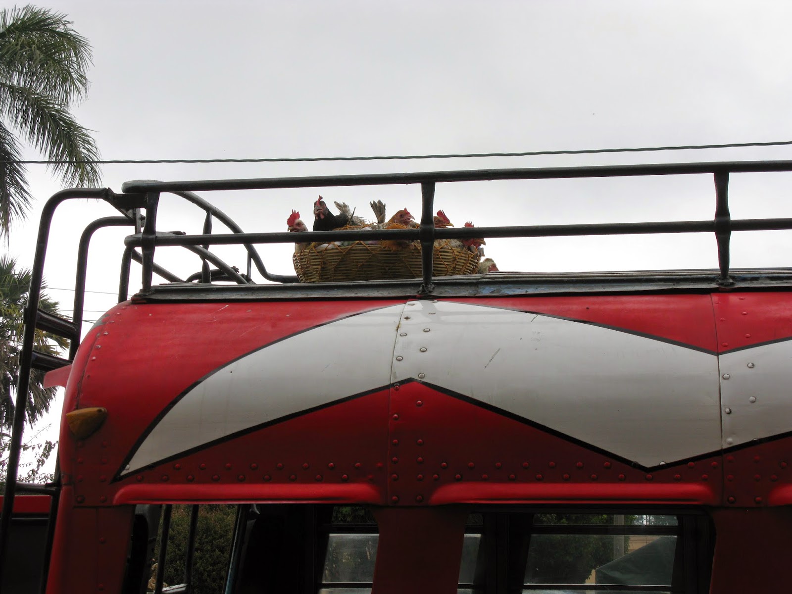 Mission Experiences in Guatemala: Chicken buses