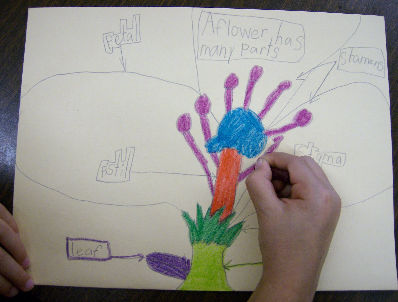 Zilker Elementary Art Class: 2nd grade artists study Georgia O'Keeffe