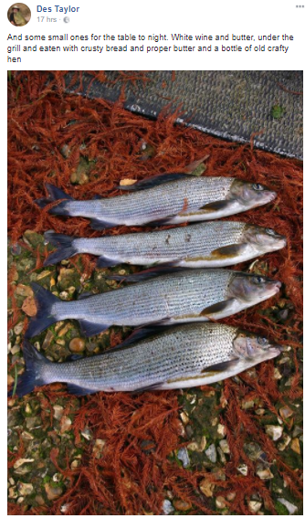 Fishy Business, an angler's journal.: Des Taylor drops a clanger