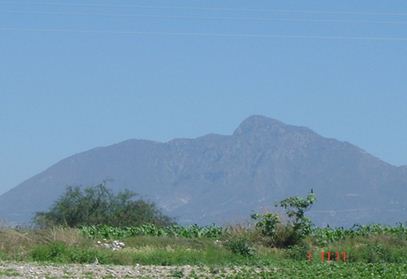 PATRIMONIO INTANGIBLE: TASQUILLO