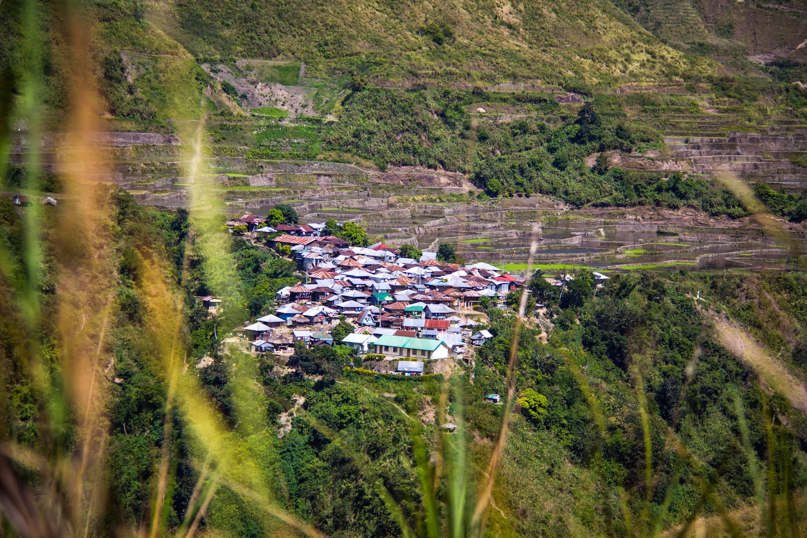 ...and we're gone: Buscalan, Whang-Od, Kalinga, Butbut Tribe