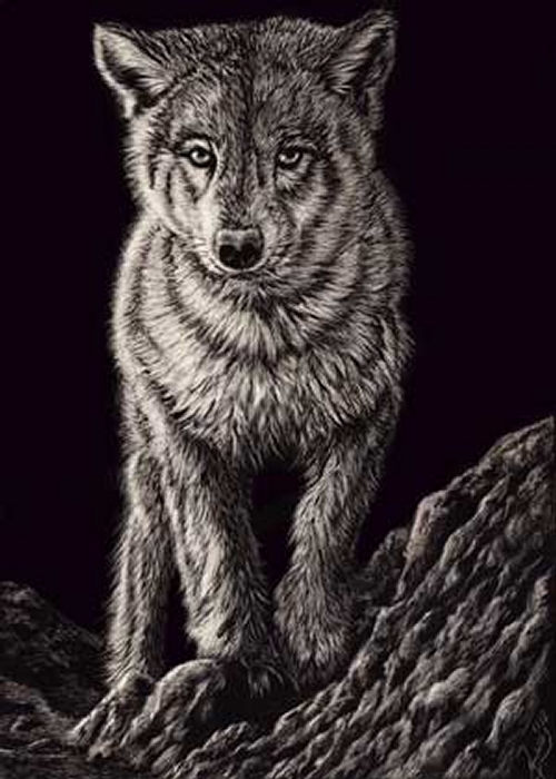 Design Stack: A Blog about Art, Design and Architecture: Scratchboard ...