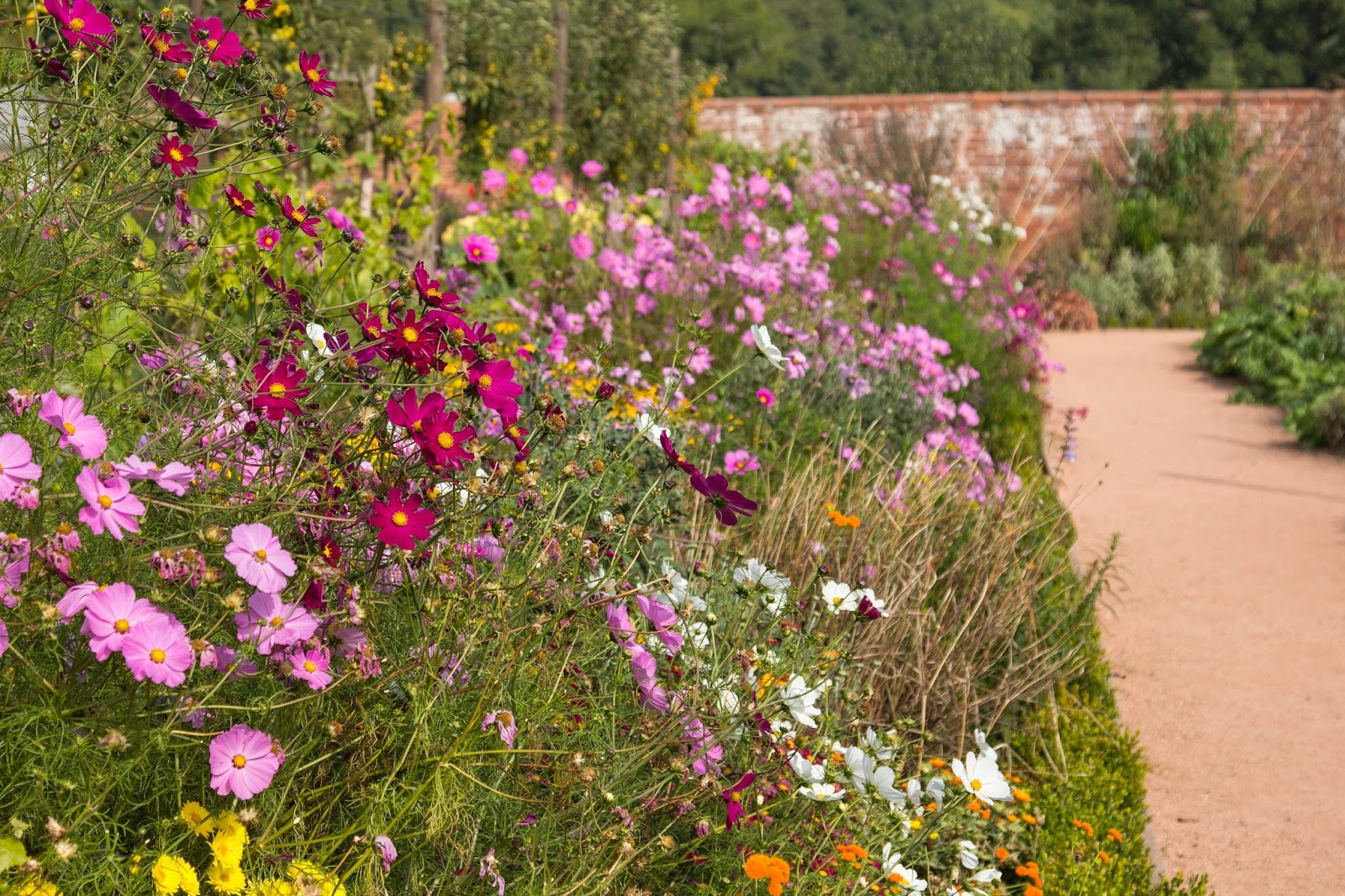 Escapes and Photography: September Borders and Homework at Packwood House