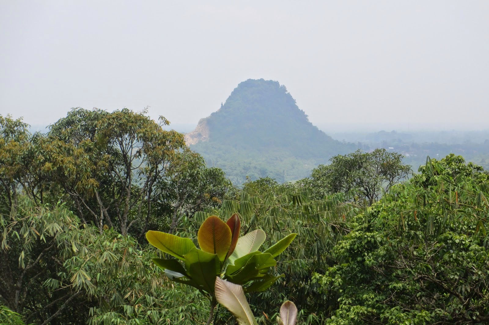 Wisata Alam Gunung Munara | Jawa Barat - Tempat Wisata Bagus