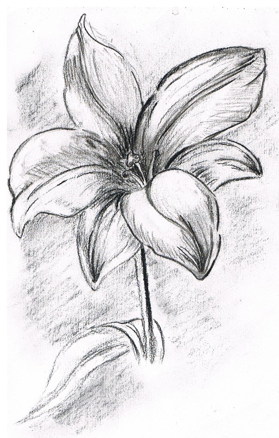 Piękna ty : Szkicowanie - coś, co mnie rajcuje!