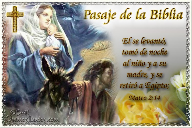 Vidas Santas: Santo Evangelio según san Mateo 2:14
