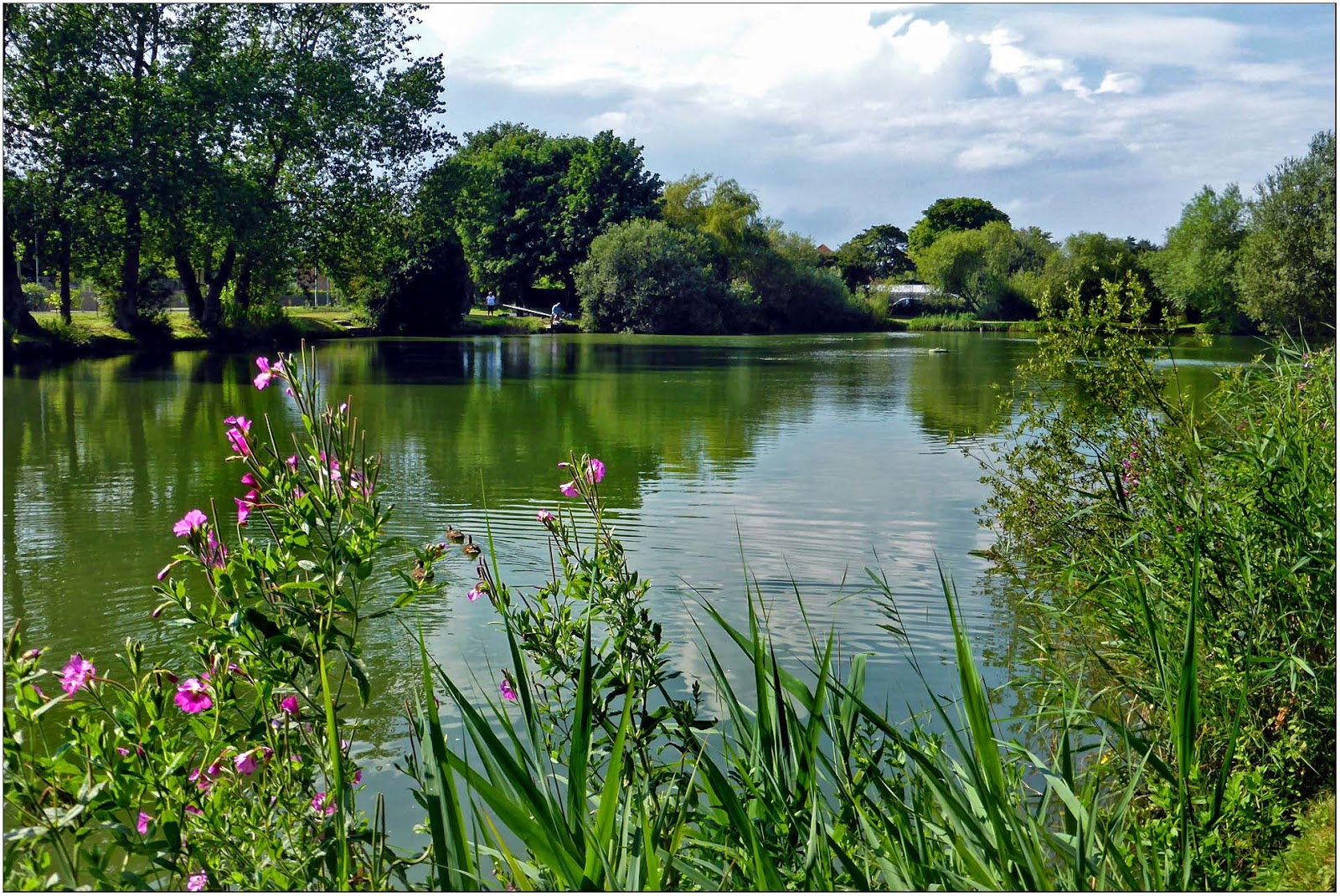 Lincolnshire Cam: Oasis Fishing Lakes.