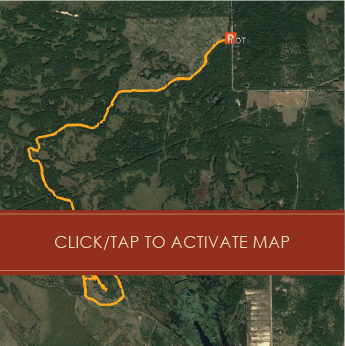 Hiking The Lone Rock Trail at Quincy Bluff