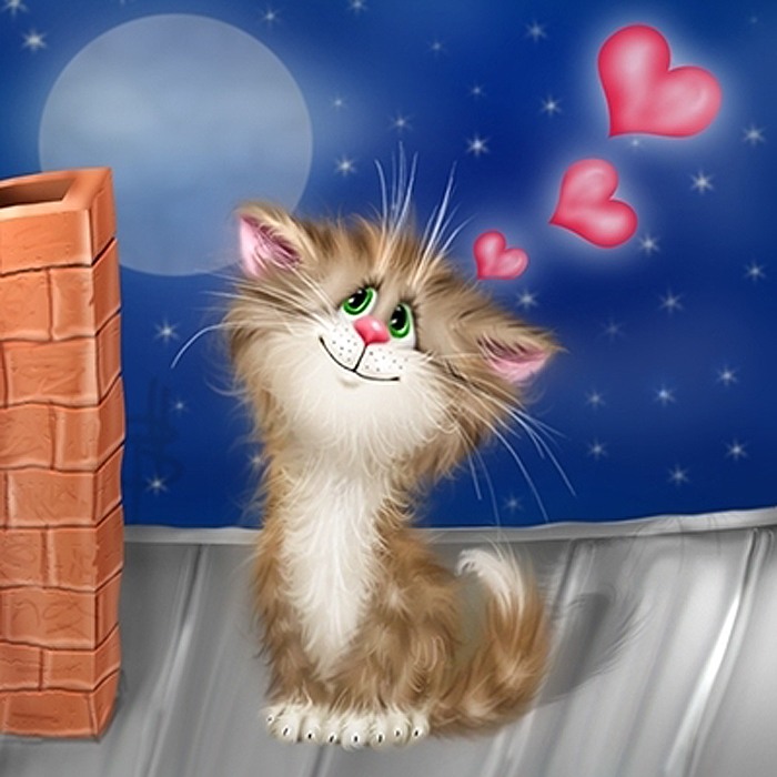 7 Das Artes Eu Acho Que Vi Um Gatinho