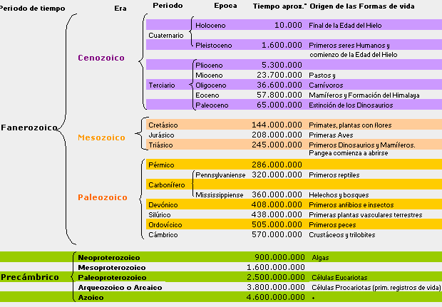 ColaboraBlog 4º ESO: Biología y Geología