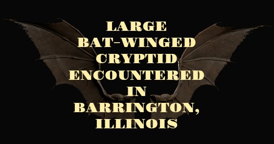 Phantoms and Monsters - Real Cryptid Encounter Reports - Fortean ...