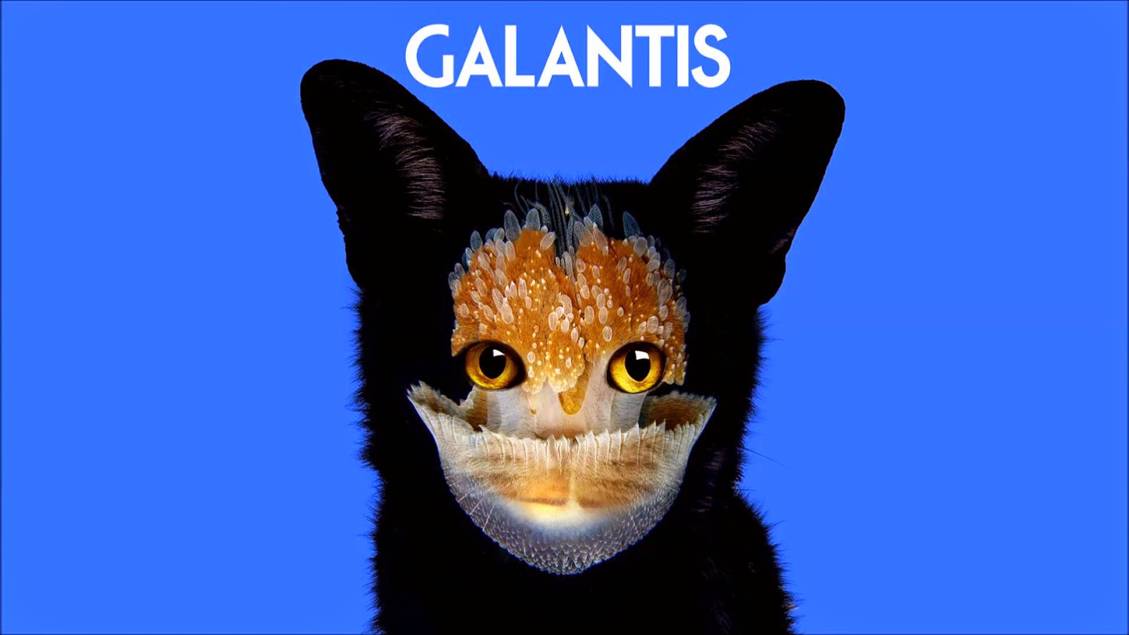 Intermusic (Lo mejor del Mundo de la Musica): Galantis, la nueva ...