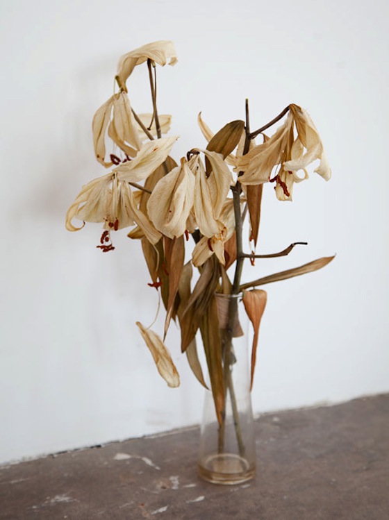 Creative Ideas for Using Dried Lily Flowers in Home Decor