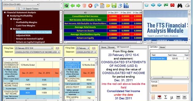 Example ~ The FTS Financial Statement Analysis Module: Software ...