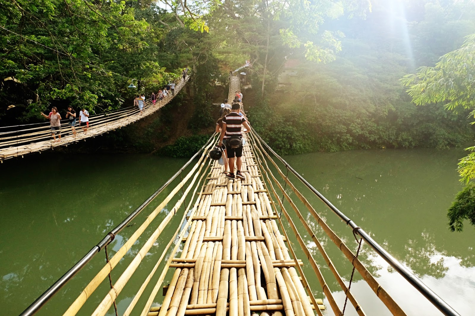 Bohol Tour - Man made forest & Bamboo hanging bridge | Christine Loves ...