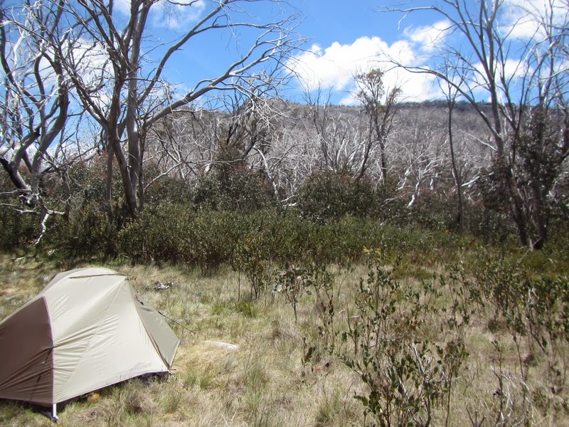Dzung Nguyen's Blog: Mt Cobbler Walk