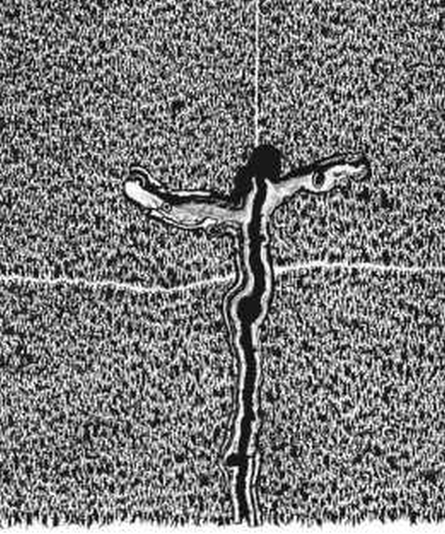 Los Grandes Fotografos: Alfredo Testoni (1919-2003)