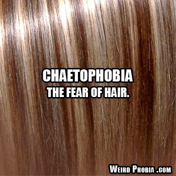 Collections: November 2013