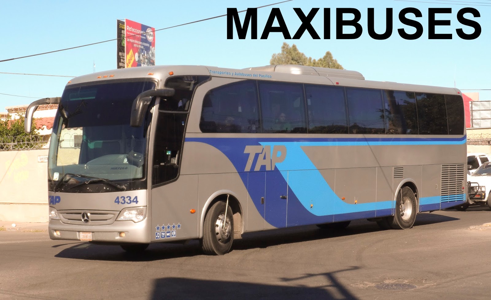 MAXIBUSES: TRANSPORTES Y AUTOBUSES DEL PACÍFICO (TAP)