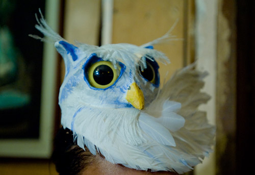 My Owl Barn: Animal Ball: Owl Costume
